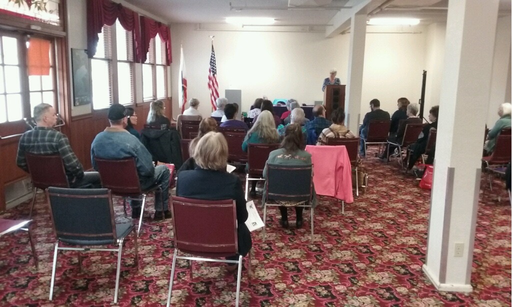 Pictures – Erin Burrell